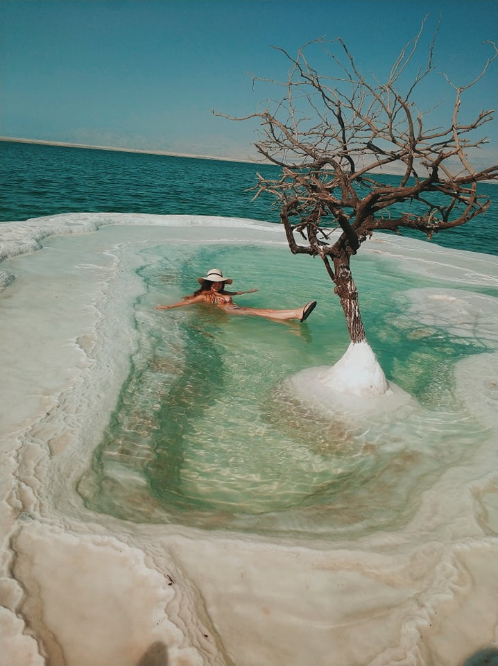 Dead Sea Tree: Real pics + How To Get There! ! - Travel By Maya