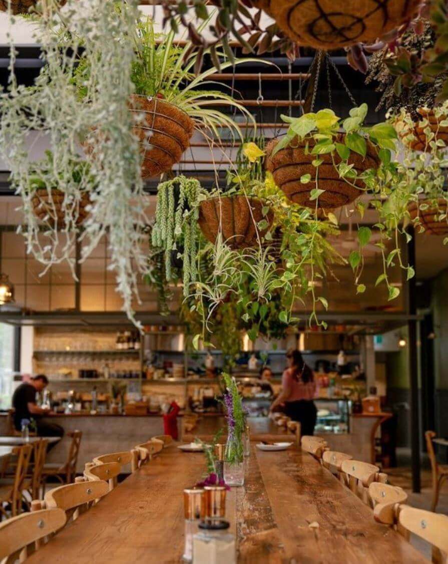 27 Highly Instagrammable Cafes in Auckland [2023 Update] - Travel By Maya