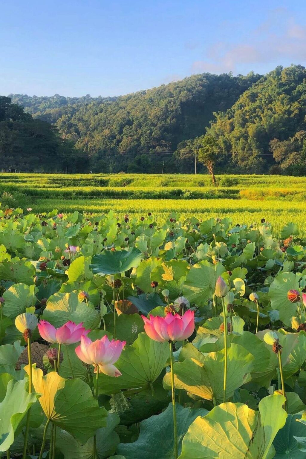 31 Most Instagrammable Places In La Union (Hidden Gems!) - Travel By Maya