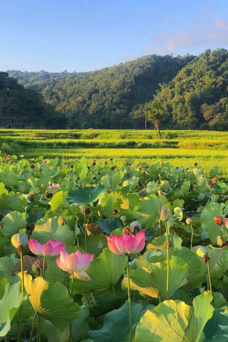 31 Most Instagrammable Places In La Union (Hidden Gems!) - Travel By Maya