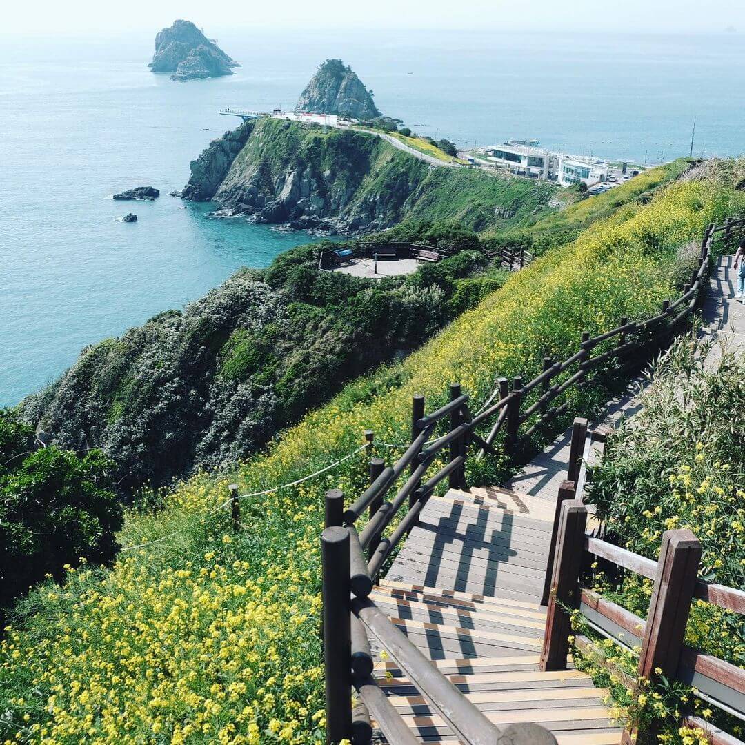 23 Instagrammable Places In Busan Right Out Of A K-Drama - Travel By Maya